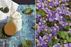 Violet Skin Cream (for Lymphatic Health)
